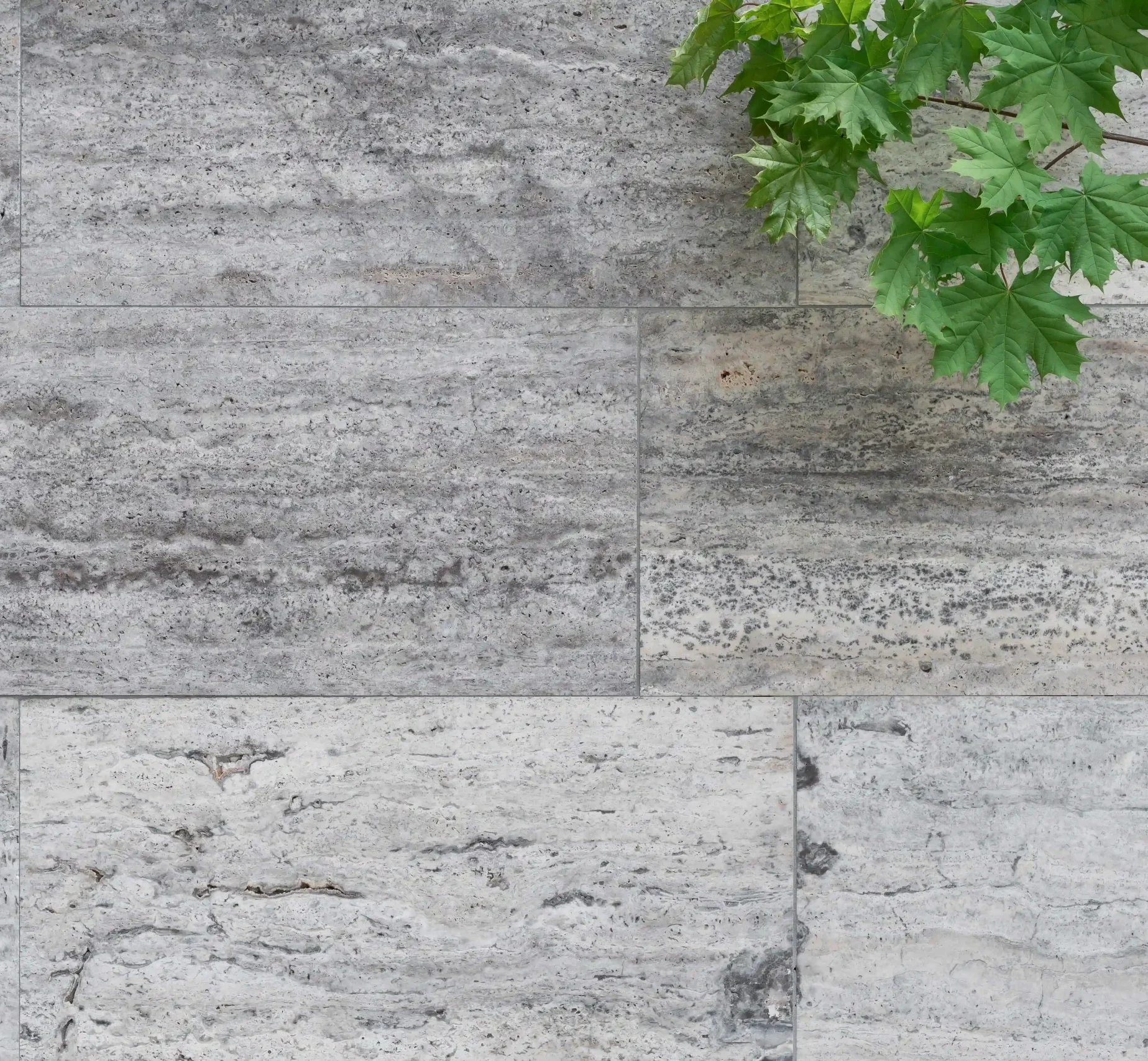 Silver Travertin, vein cut, csiszolt prémium burkolatok - StoneConcept